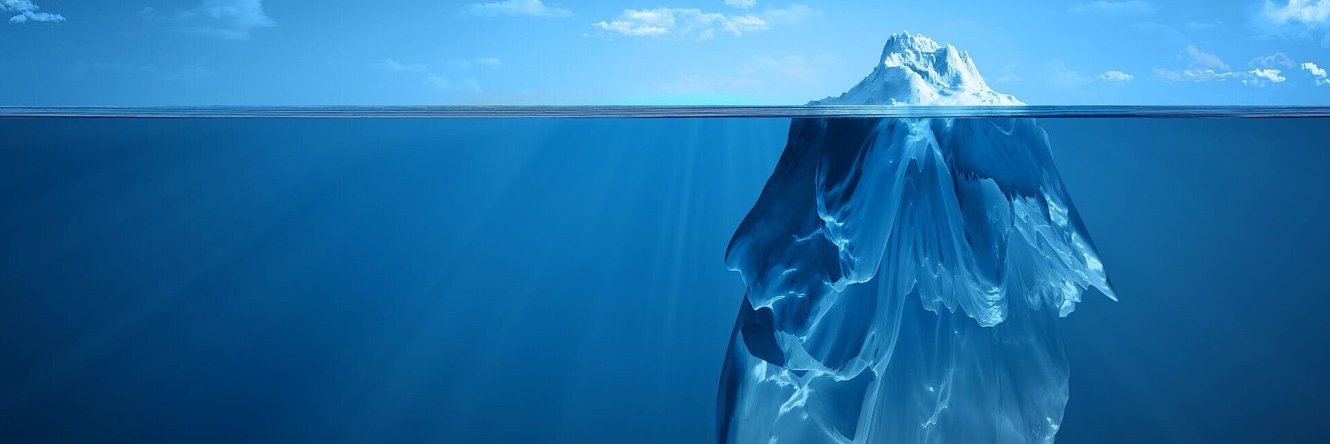 Life Cycle Management (LCM)